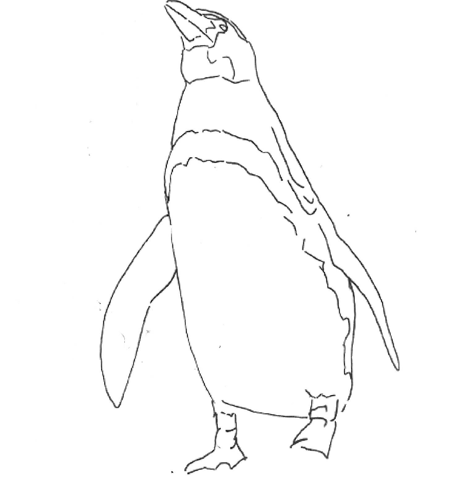 Penguin Painting - An Artist's Guide to Penguins - SAA