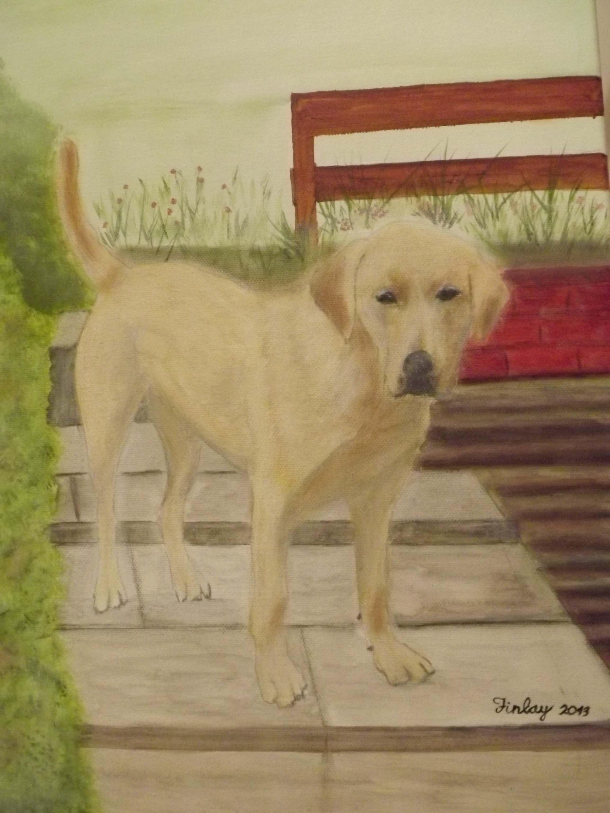 Finlay on garden steps - SAA
