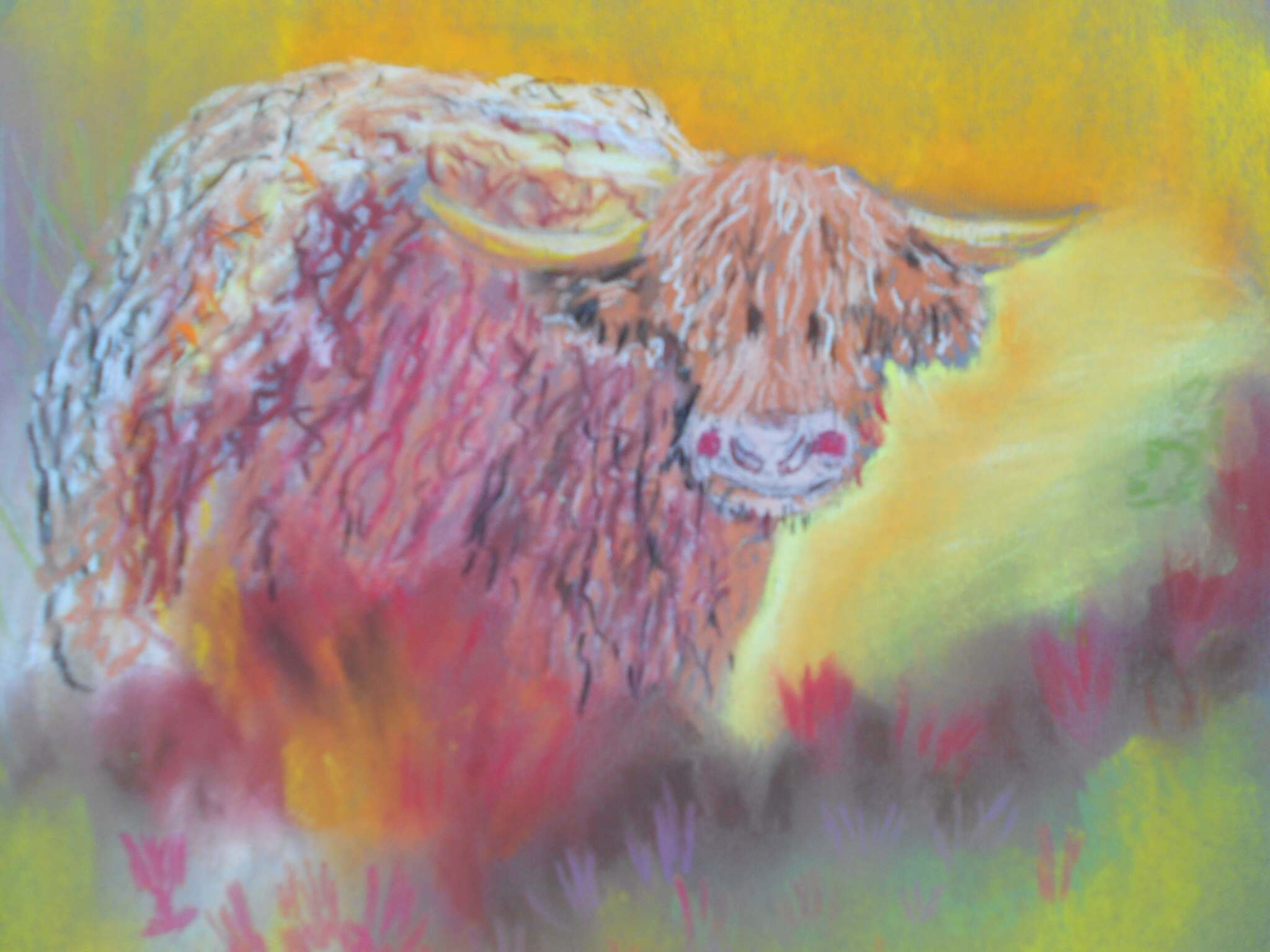 Happy Coo - SAA