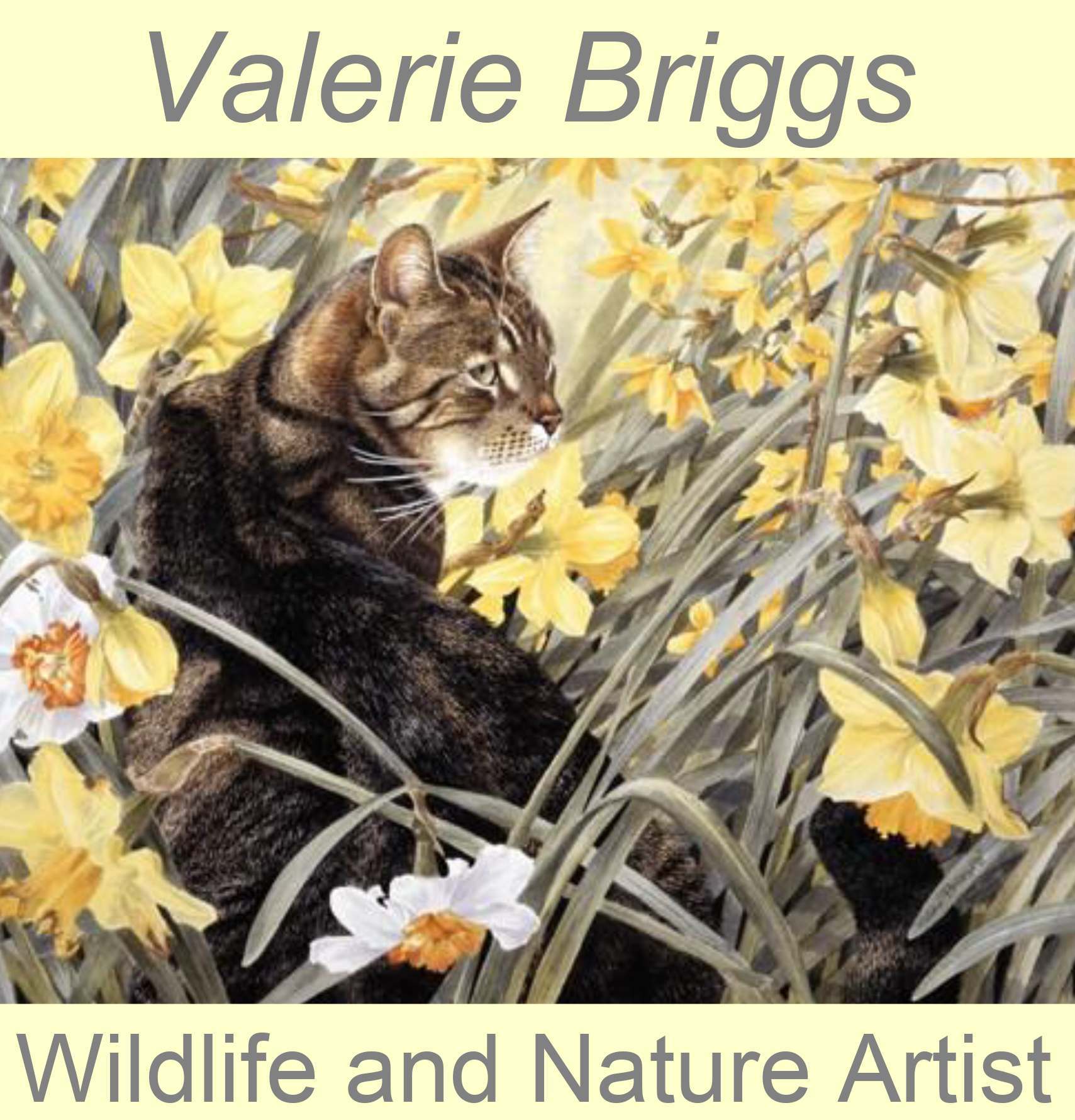 Valerie Briggs - SAA