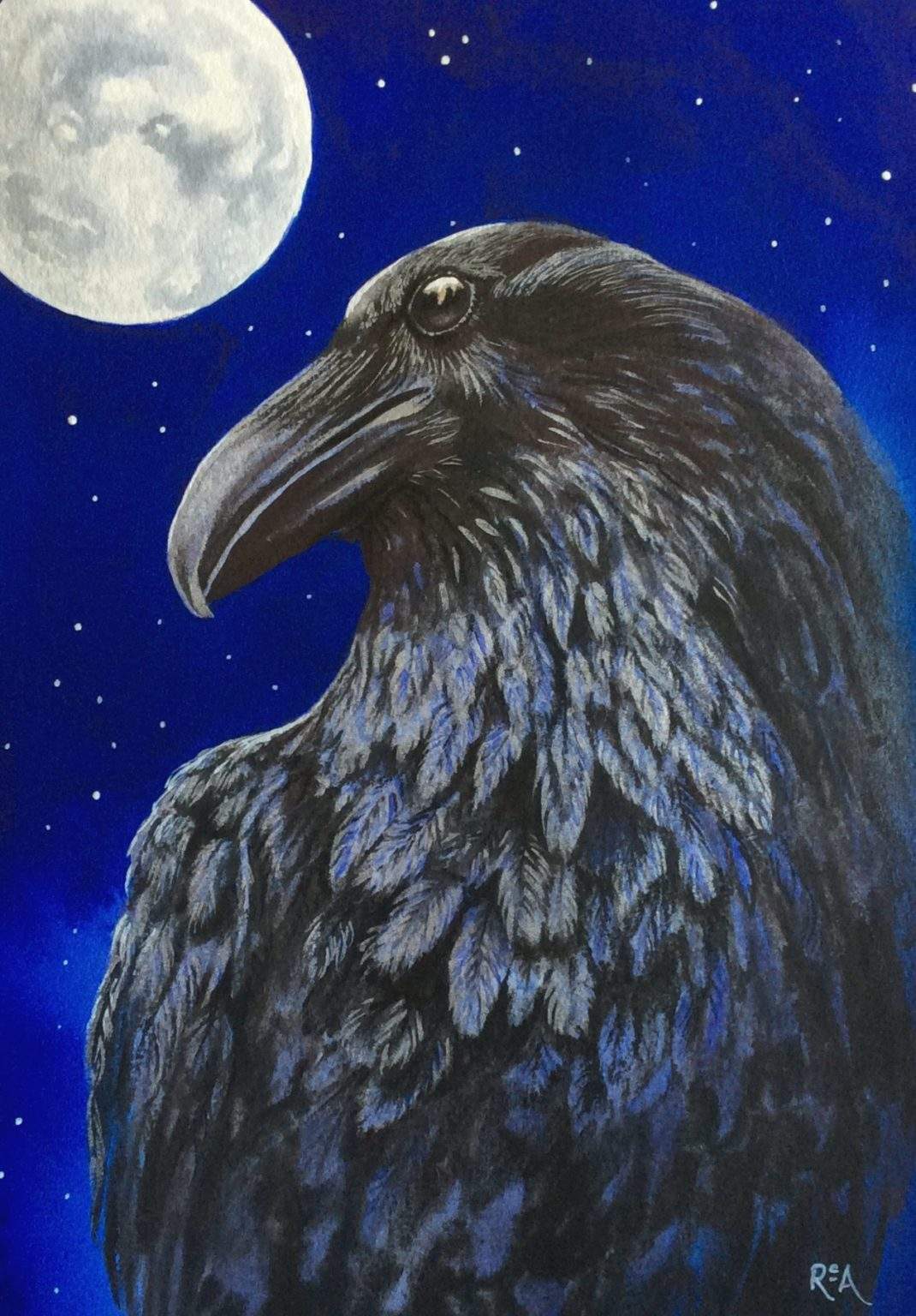 Ruth Archer - Bee on Passion Flower - SAA