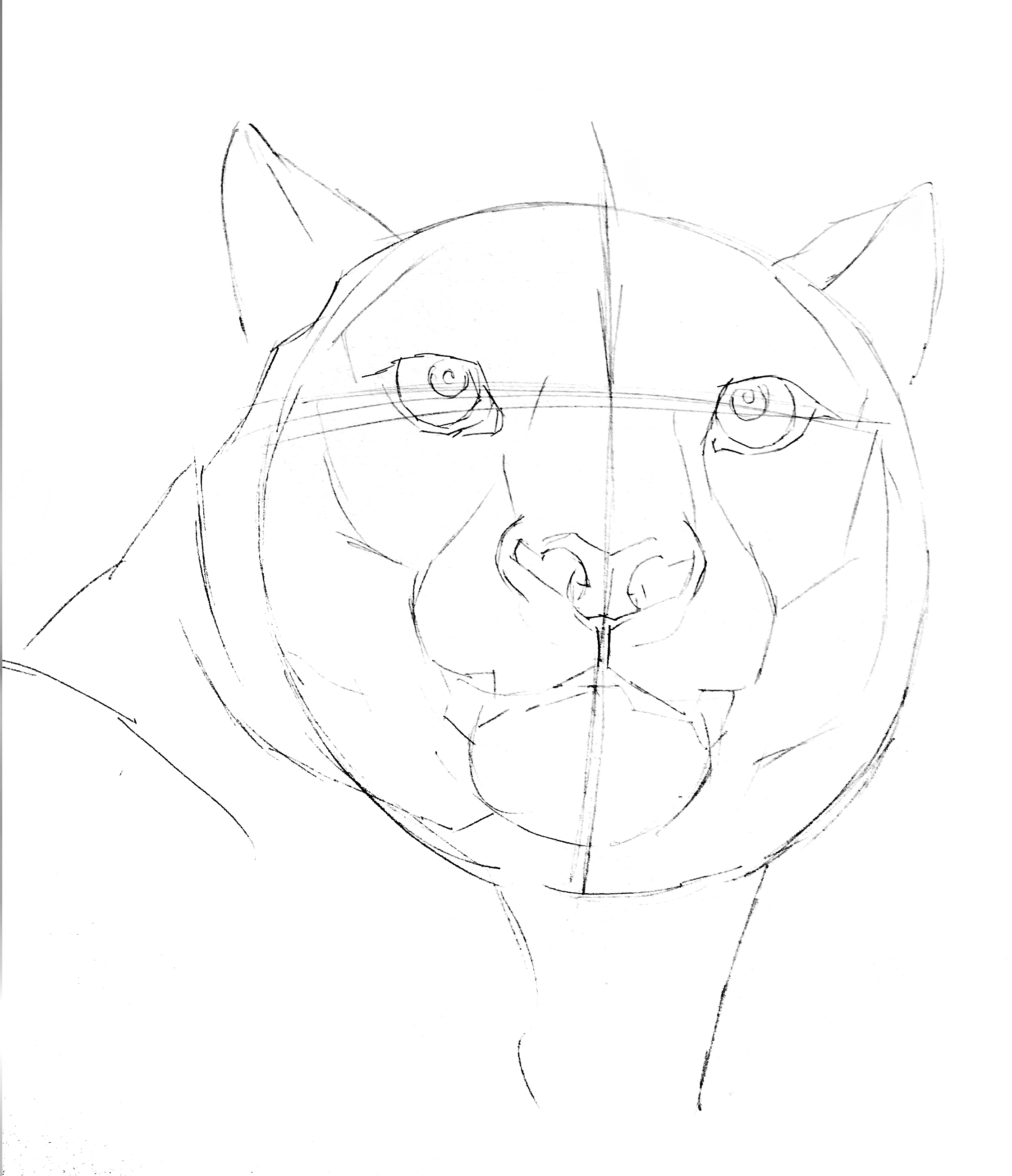 Learn How To Draw A Leopard with Line & Wash | Michele Illing - SAA
