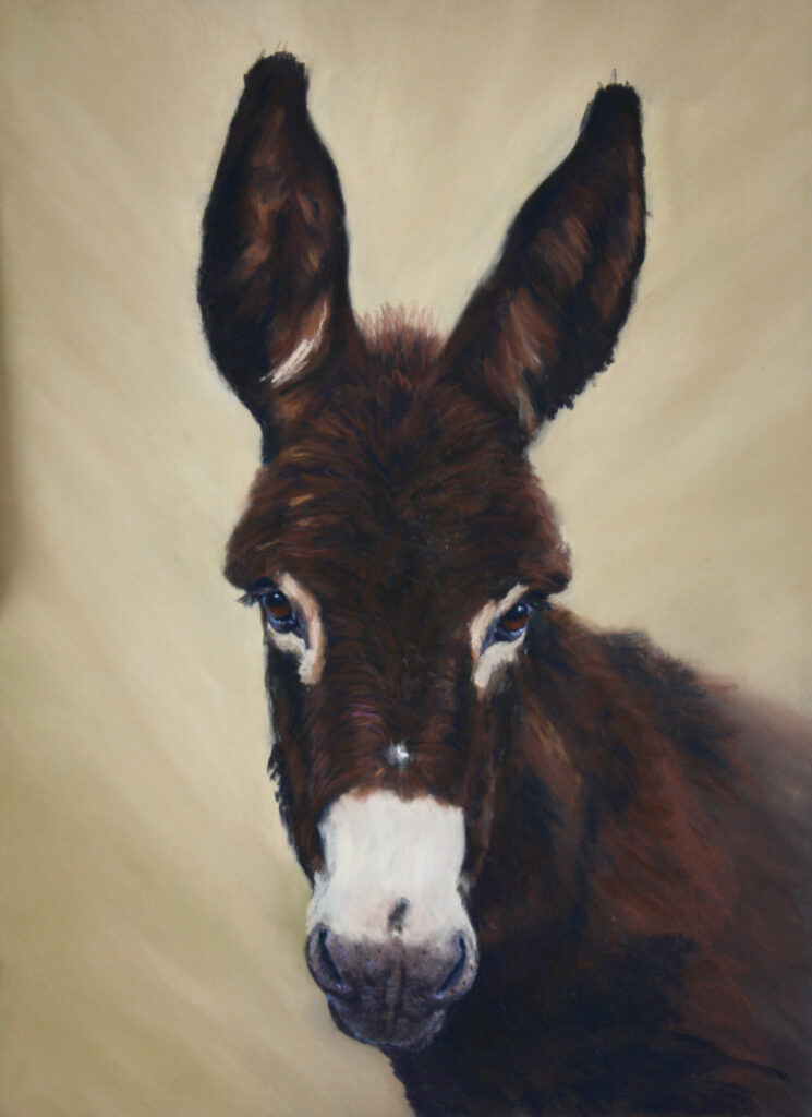 How to Paint a Donkey in Pastels | Catherine Inglis - SAA