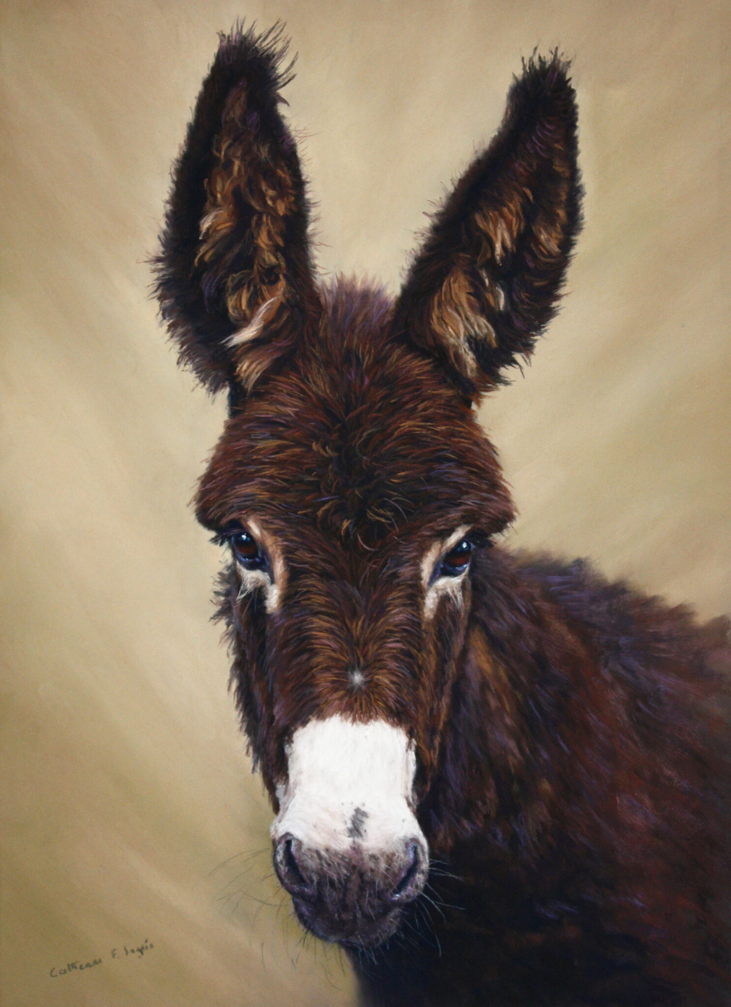 How to Paint a Donkey in Pastels | Catherine Inglis - SAA