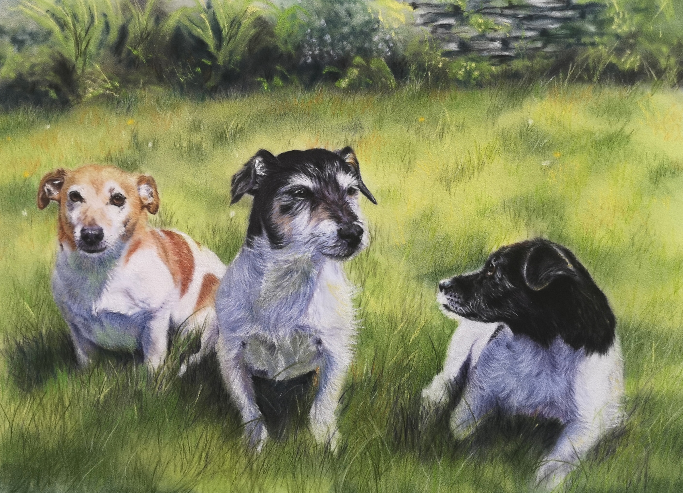 Estelle Robinson - Bramble, Barney & Daisy - SAA