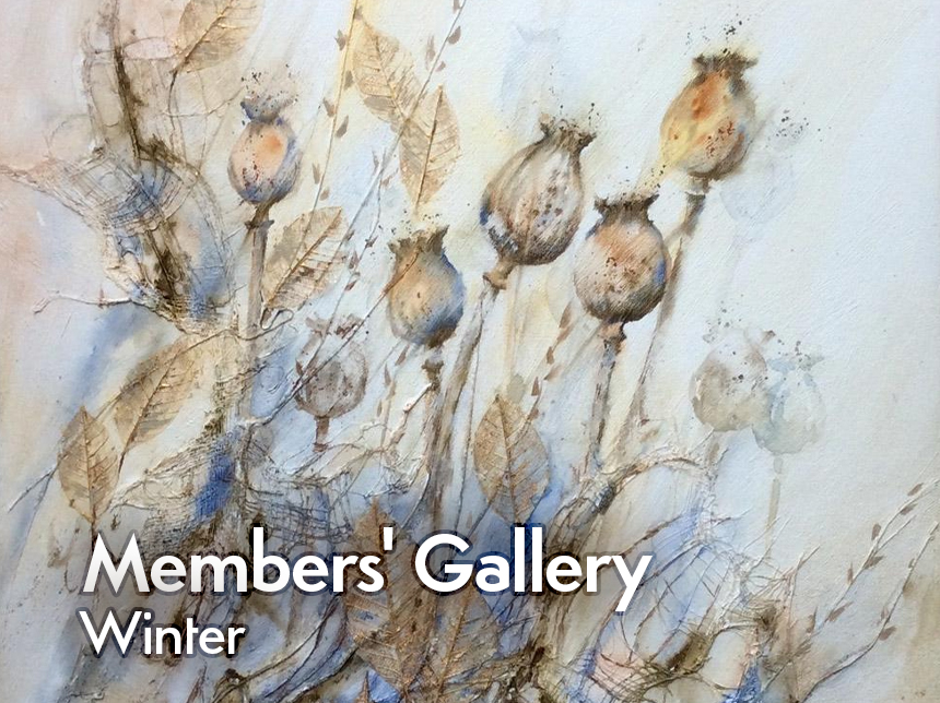 Members' Gallery - Winter - SAA