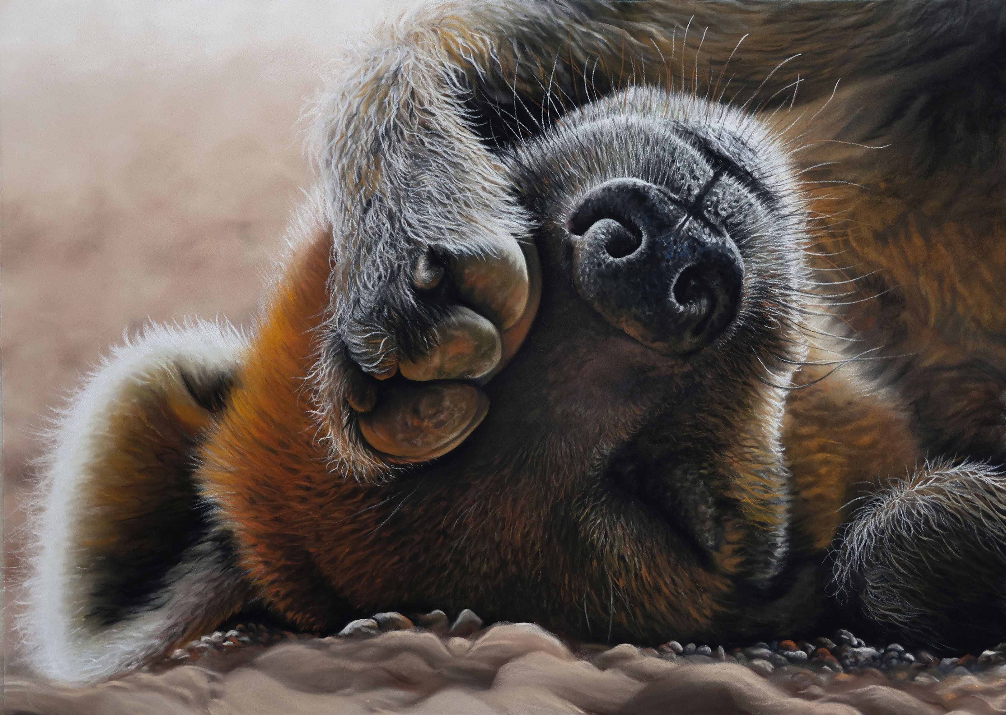Sophie Parkhill - Exhibition Wildlife Art 2025 - SAA