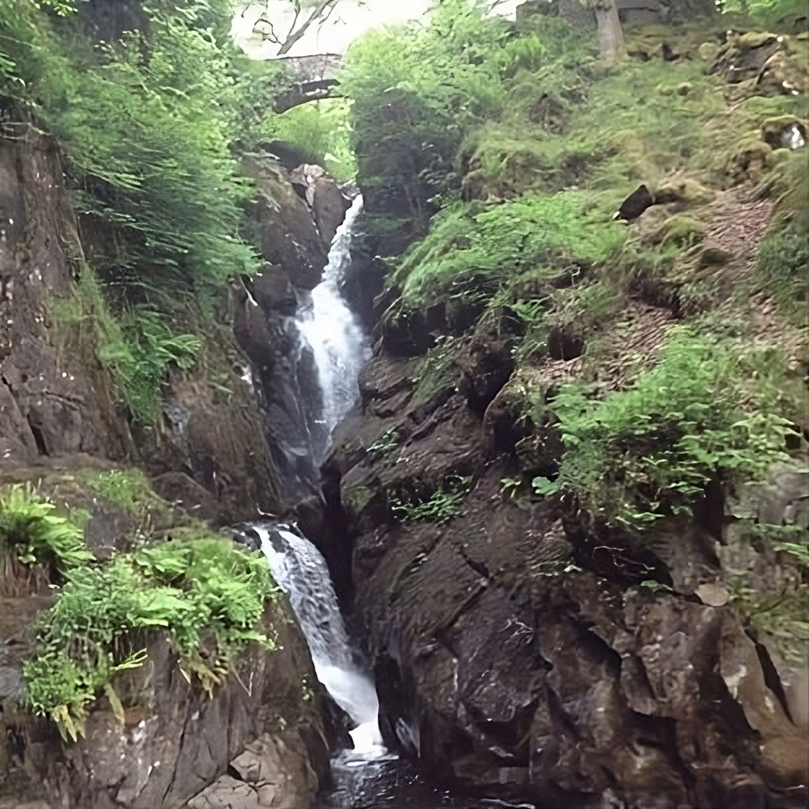 Exploring Linework: Waterfall with Anita Pounder - SAA