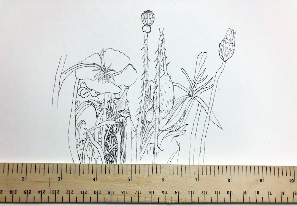 Exploring Line Work: Wildflower Meadow in Pen | Anita Pounder - SAA