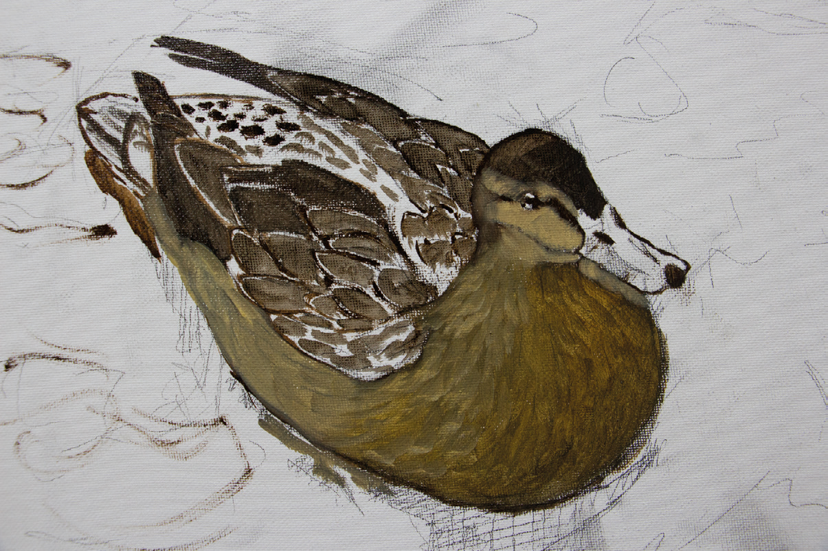 Oil Painting from Photo Reference: Mallard Duck | Paul Apps - SAA