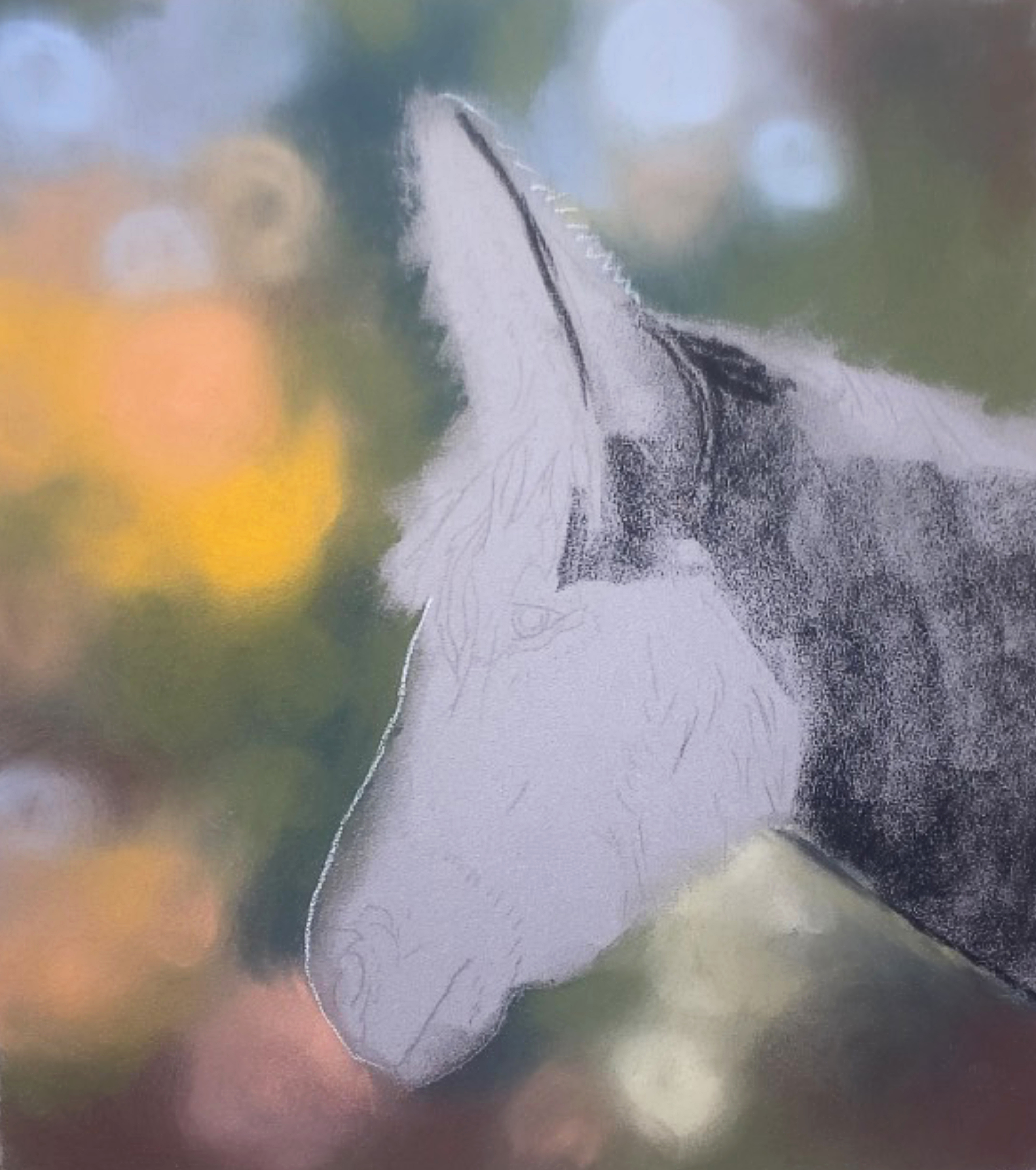 Backlit Pastel Painting Tutorial: Donkey | Teresa Seals - SAA