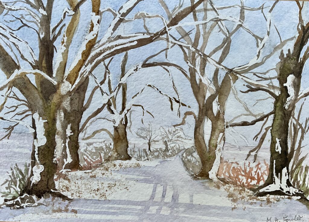 Members' Gallery - Winter - SAA