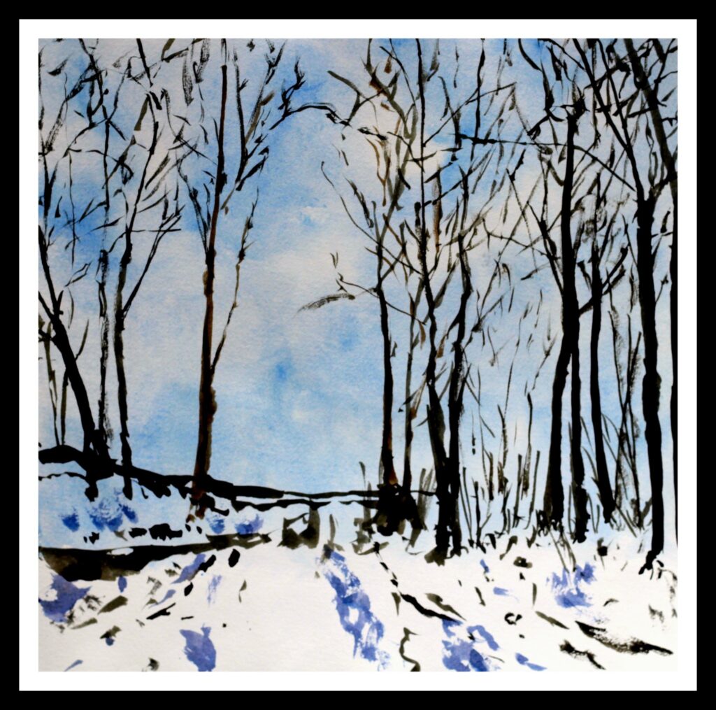 Members' Gallery - Winter - SAA
