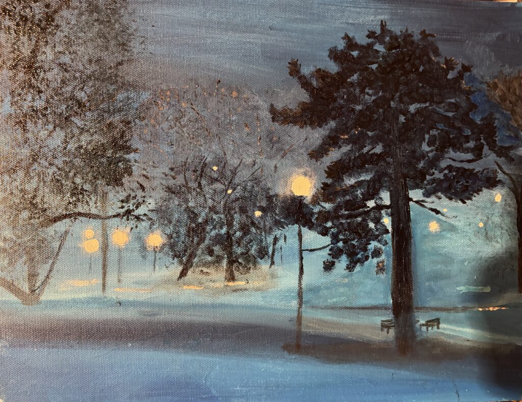 Members' Gallery - Winter - SAA