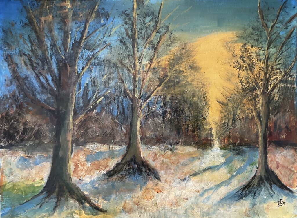 Members' Gallery - Winter - SAA