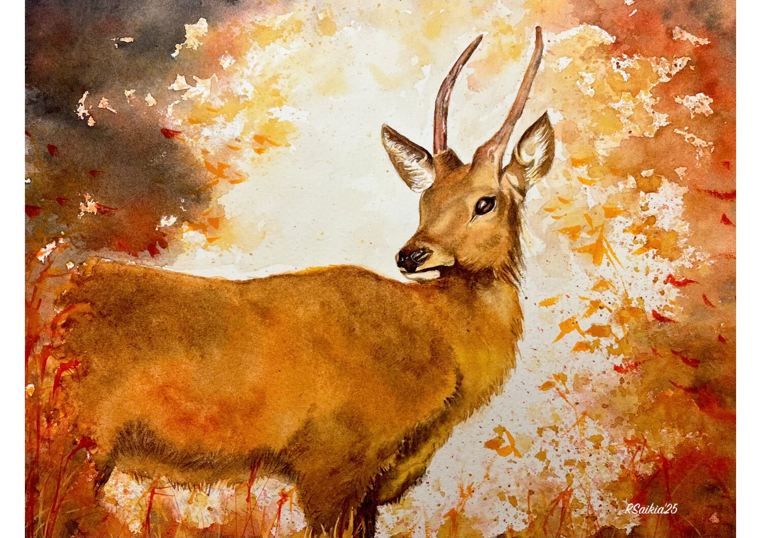 Rupalim Saikia - Deer from George McKenna's ref photo - SAA