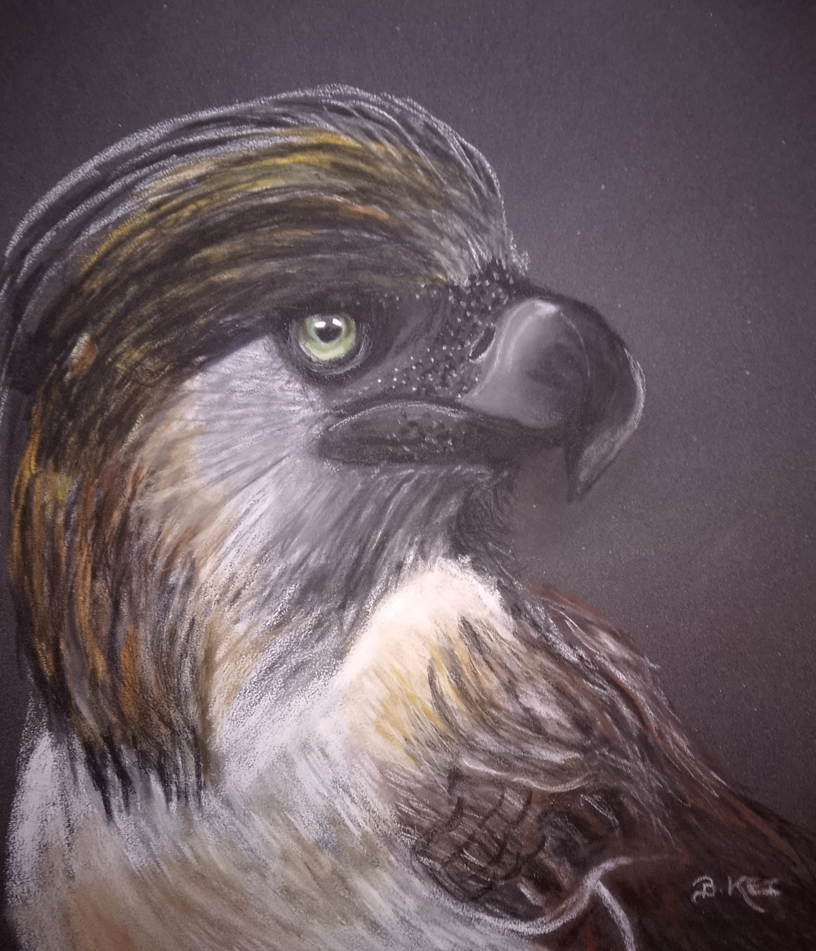 Buffy Kei - ”Majesty On The Brink” - SAA