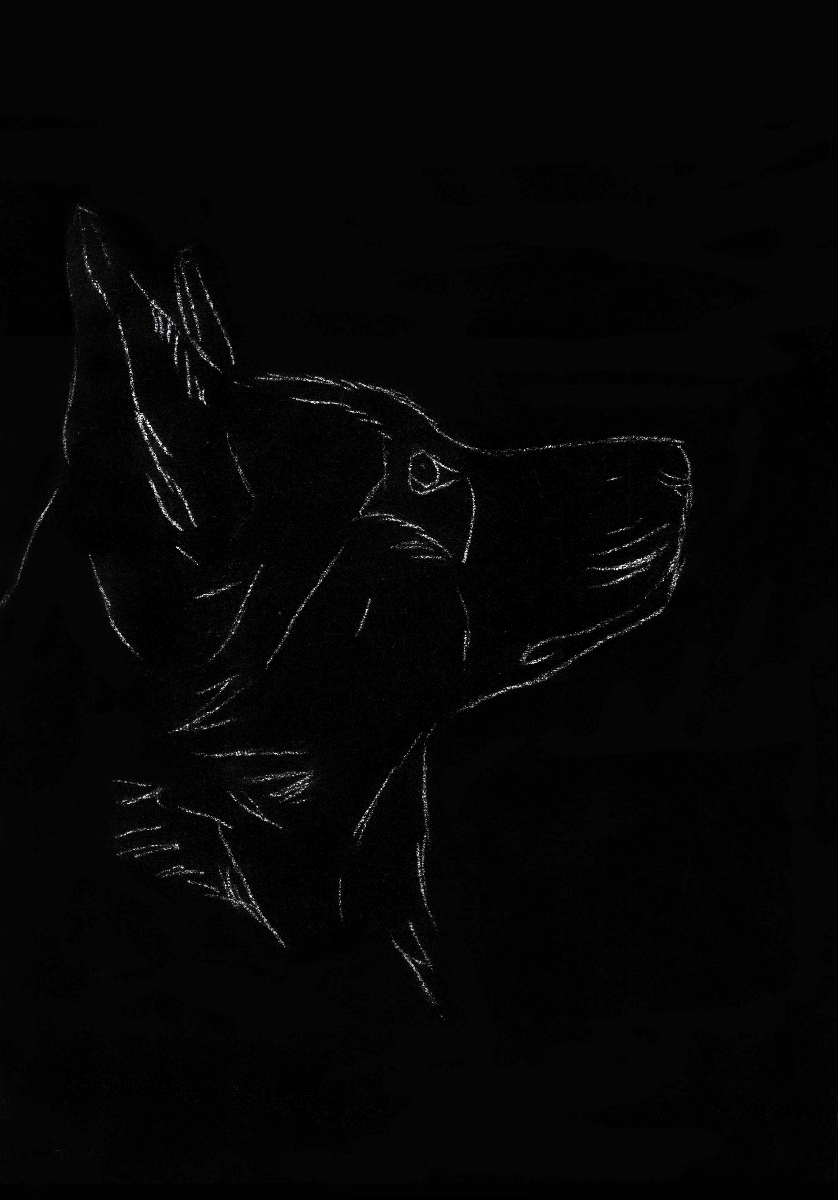 Drawing Pets from Photos: Atmospheric Husky | Vic Bearcroft - SAA
