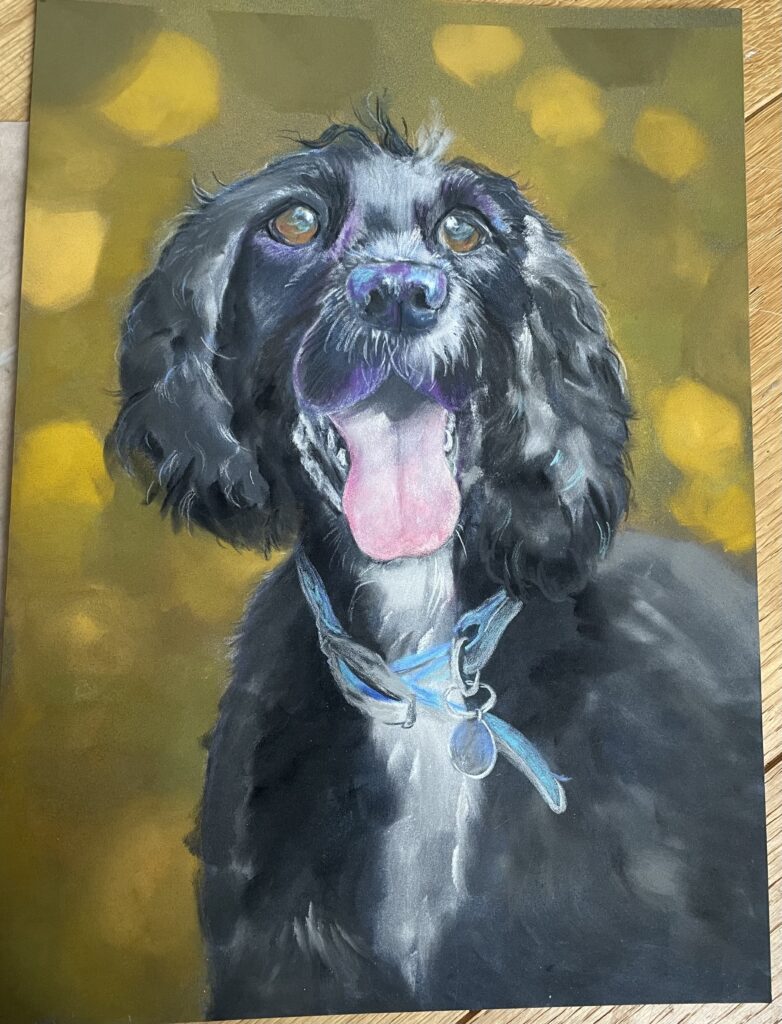 Members' Gallery - Portraits - SAA