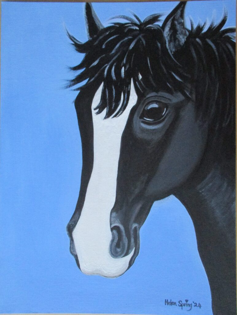 Members' Gallery - Portraits - SAA